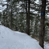 Canyon Loop, Colorado - 1,354 Reviews, Map | AllTrails