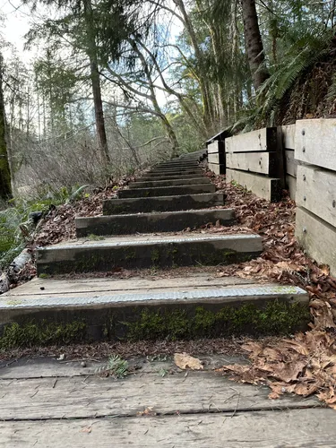 Best Walking Trails in Campbell River 11 | AllTrails