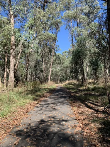 Best Hikes and Trails in Smoko Streamside Reserve | AllTrails