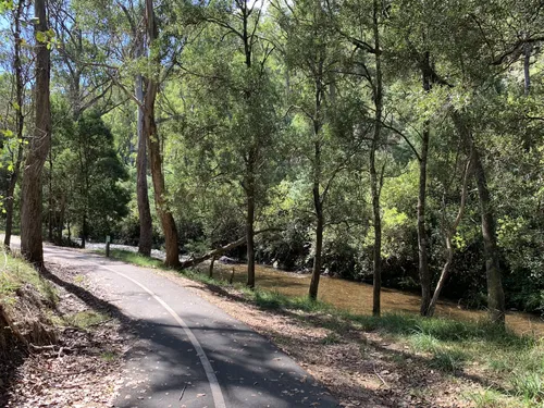 Best Hikes and Trails in Smoko Streamside Reserve | AllTrails