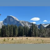 Sentinel Meadow Cook's Meadow Loop Trail, California - 3,024 Reviews ...