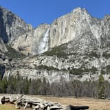 Sentinel Meadow Cook's Meadow Loop Trail, California - 3,024 Reviews ...