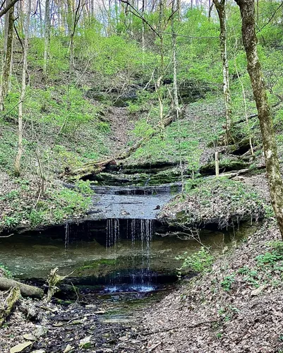 Best Hikes and Trails in Percy Warner Park | AllTrails