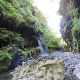 Patuna Chasm Walk, Wellington, New Zealand - 29 Reviews, Map | AllTrails