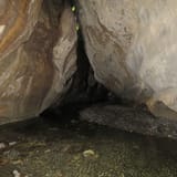 Patuna Chasm Walk, Wellington, New Zealand - 29 Reviews, Map | AllTrails