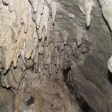 Patuna Chasm Walk, Wellington, New Zealand - 29 Reviews, Map | AllTrails