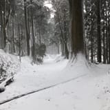 Mount Atago Loop, Kyoto, Japan - 182 Reviews, Map | AllTrails