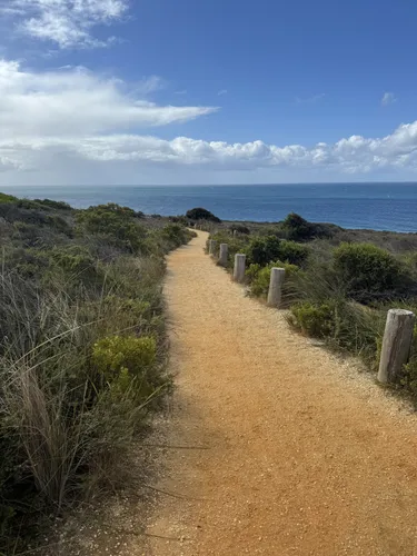 Best Short Trails in Lorne - Queenscliff Coastal Reserve | AllTrails