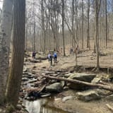 Cascade Falls Loop Trail, Maryland - 2,948 Reviews, Map | AllTrails