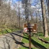 Cascade Falls Loop Trail, Maryland - 2,948 Reviews, Map | AllTrails