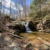 Cascade Falls Loop Trail, Maryland - 2,948 Reviews, Map | AllTrails