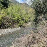 Murphy Ranch Trail, California - 3,615 Reviews, Map | AllTrails