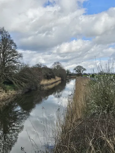 Best Walking Trails in Appledore | AllTrails