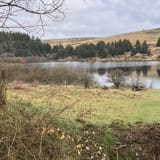 Fernworthy Reservoir Circular, Devon, England - 70 Reviews, Map | AllTrails