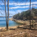 Beaver Lake Loop via Lost Bridge Trail, Arkansas - 576 Reviews, Map ...
