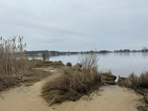 Best Hikes and Trails in Wye Island Natural Resource Management Area ...