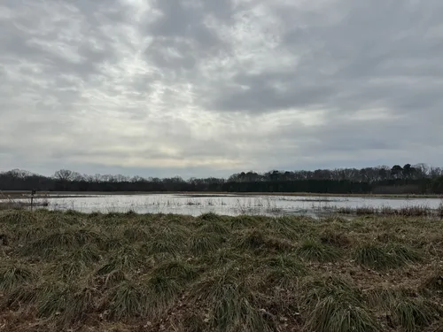 Best Hikes and Trails in Wye Island Natural Resource Management Area ...