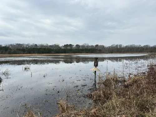 Best Hikes and Trails in Wye Island Natural Resource Management Area ...