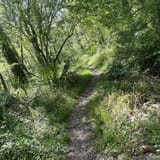 Moon Seed Loop, Louisiana - 381 Reviews, Map | AllTrails