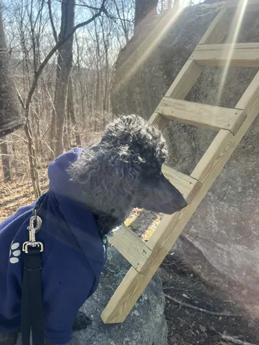 Best Hikes and Trails in Hewitt Farm | AllTrails