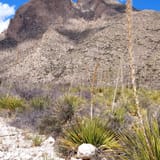 Slaughter Canyon Cave Trail, New Mexico - 77 Reviews, Map | AllTrails