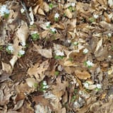 Bethabara Park Trail, North Carolina - 175 Reviews, Map | AllTrails