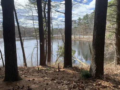 Best Hikes and Trails in Cochituate State Park | AllTrails