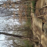 Bethabara Park Trail, North Carolina - 175 Reviews, Map | AllTrails