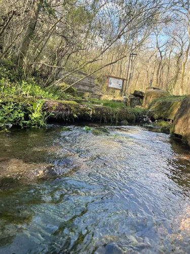 Best Fishing Trails in Rogers | AllTrails