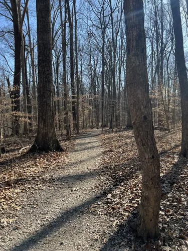 Best Hikes and Trails in Richard Lieber State Recreation Area | AllTrails