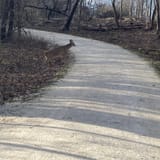 Fullersburg and Graue Mill Loop Trail, Illinois - 1,041 Reviews, Map ...