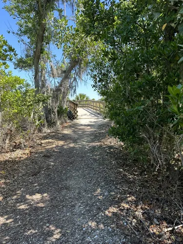 Best Hikes and Trails in Perico Preserve | AllTrails