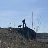 Towell Falls from Escure Ranch, Washington - 207 Reviews, Map | AllTrails