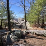 Sunset Rocks Trail, Pennsylvania - 1,038 Reviews, Map | AllTrails