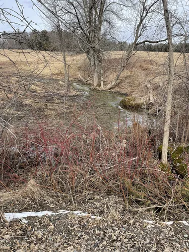 Best Hikes and Trails in Beebe Plain | AllTrails