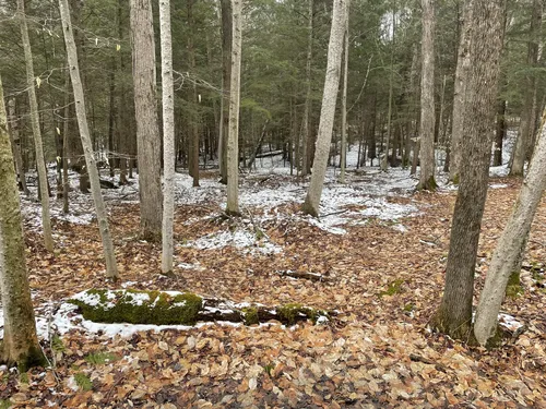 Best Hikes and Trails in Beebe Plain | AllTrails