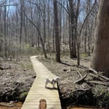 Bacon Ridge Trail: Phase 3, Maryland - 2,308 Reviews, Map | AllTrails