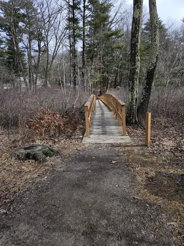 Best Forest Trails in Salem | AllTrails