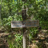 Richloam Wildlife Management Area, Florida - 61 Reviews, Map | AllTrails