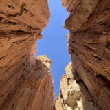 Juniper Draw Loop Trail, Nevada - 317 Reviews, Map | AllTrails