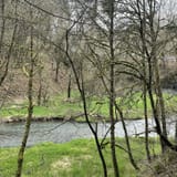 Lake to Lake Trail Loop via Lacamas Creek, Washington - 2,040 Reviews ...