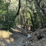 Stoddard Peak, California - 2,162 Reviews, Map | AllTrails