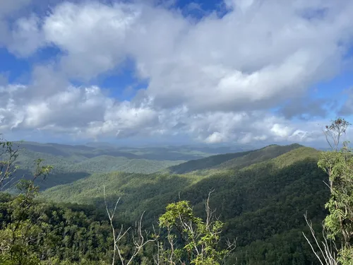 10 Best Hikes and Trails in D’Aguilar National Park | AllTrails