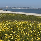 Bayshore Bikeway (Silver Strand) Trail , California - 1,185 Reviews ...