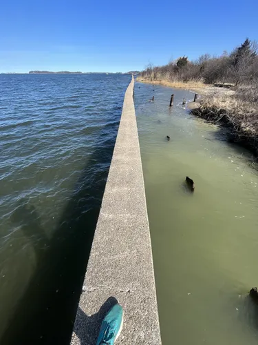 Best Hikes and Trails in Squantum Point Park | AllTrails