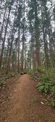 Best Hikes and Trails in Robinswood Community Park | AllTrails