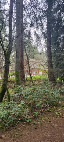 Best Hikes and Trails in Robinswood Community Park | AllTrails