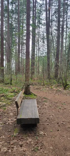 Best Hikes and Trails in Robinswood Community Park | AllTrails
