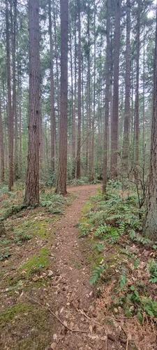 Best Hikes and Trails in Robinswood Community Park | AllTrails