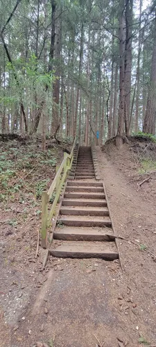Best Hikes and Trails in Robinswood Community Park | AllTrails